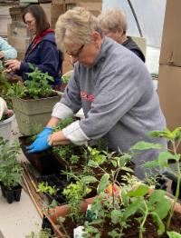 Sunday, April 28th, 1:00pm